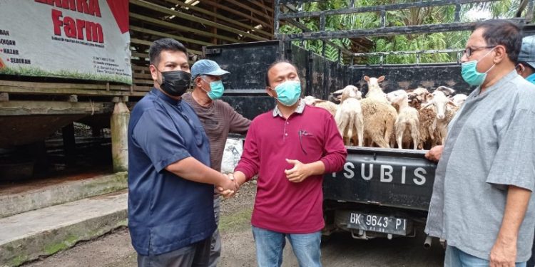 Aliyah Rizq Farm Sebelih 2.000 Ekor Hewan Kurban Dibagikan ke Warga ...